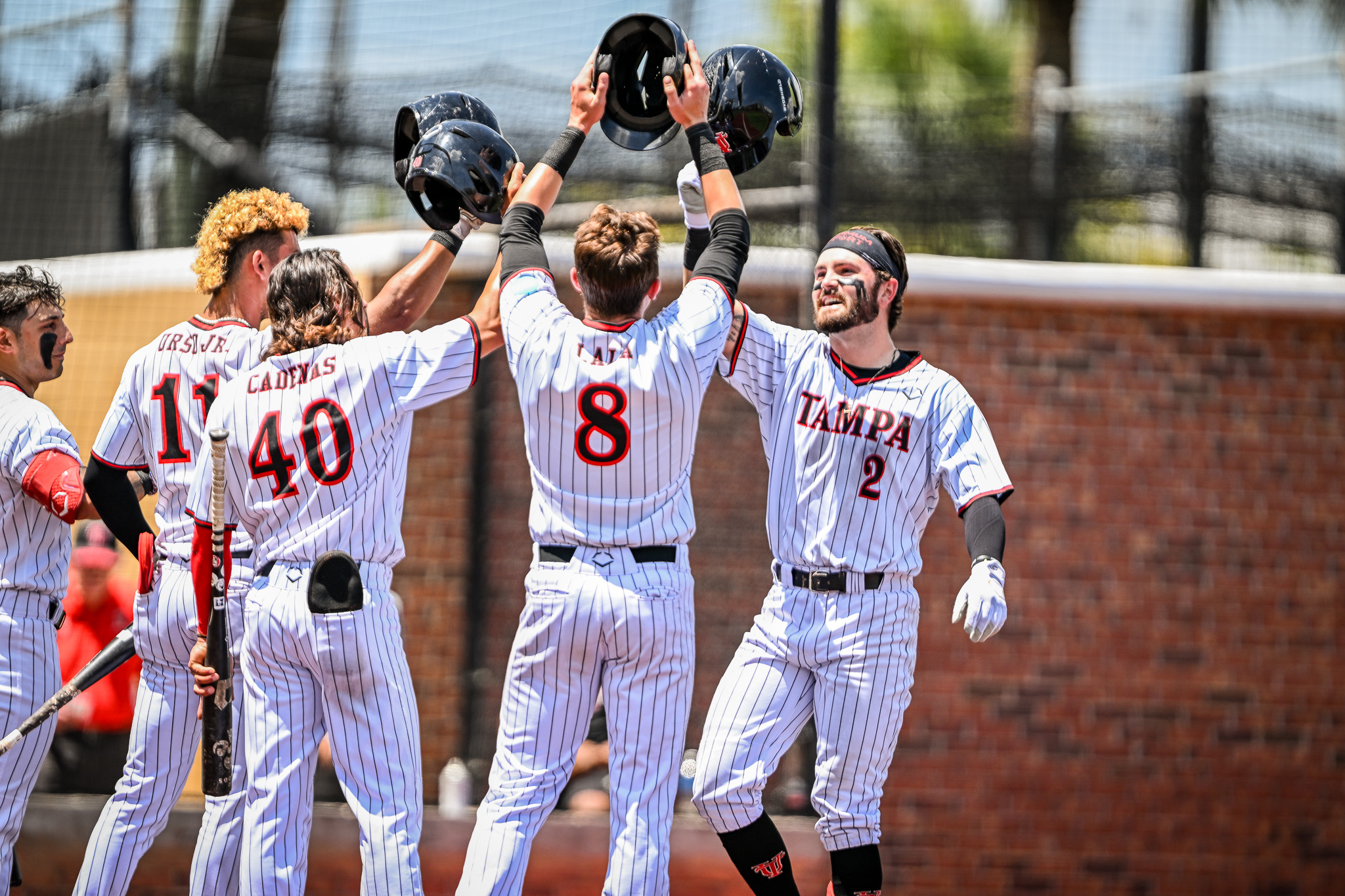 Home | University of Tampa Athletics